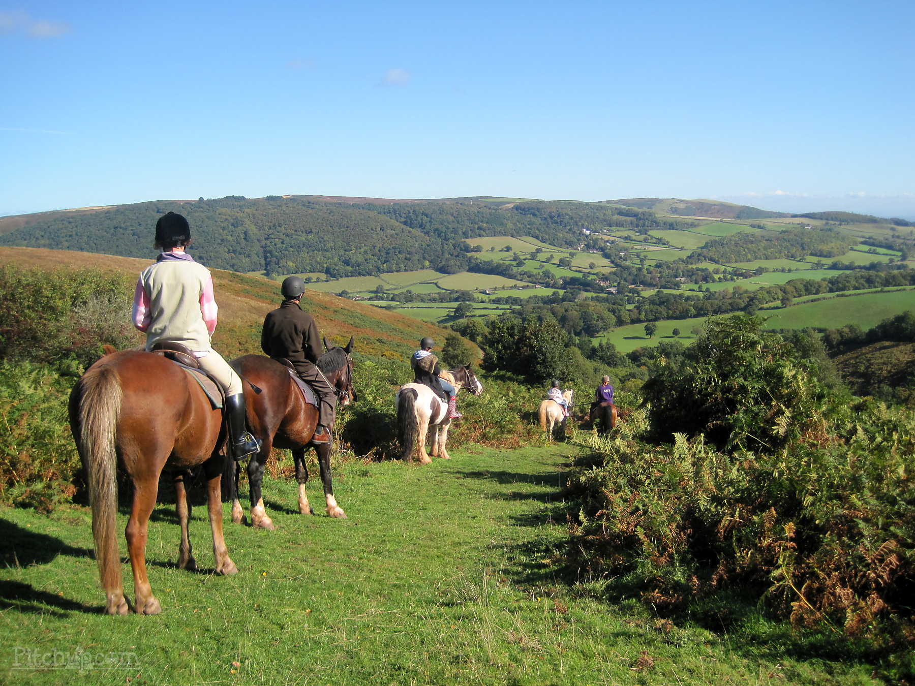 Our Top 10 Things To Do on Exmoor - The Best of Exmoor Blog