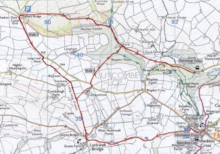Snowdrop Valley | Visitor Information | The Best of Exmoor Blog