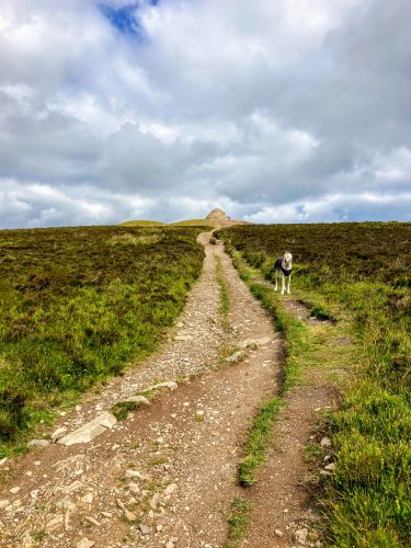 Dunkery Beacon | The Summit of Somerset | The Best of Exmoor Blog