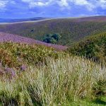 Exmoor Circular Walks | Walking Routes & Ideas | The Best of Exmoor