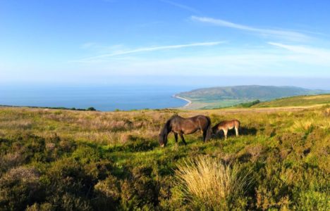 What is Exmoor Famous For? Visitor Guides | The Best of Exmoor Blog