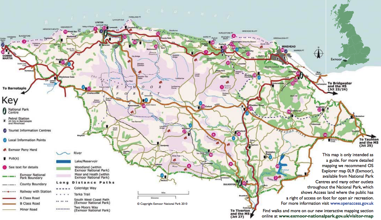Exmoor Ponies in Exmoor National Park | The Best of Exmoor Blog