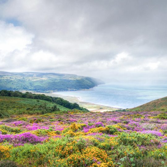 The Best of Exmoor Blog | Exmoor Things to Do & Visitor Guides