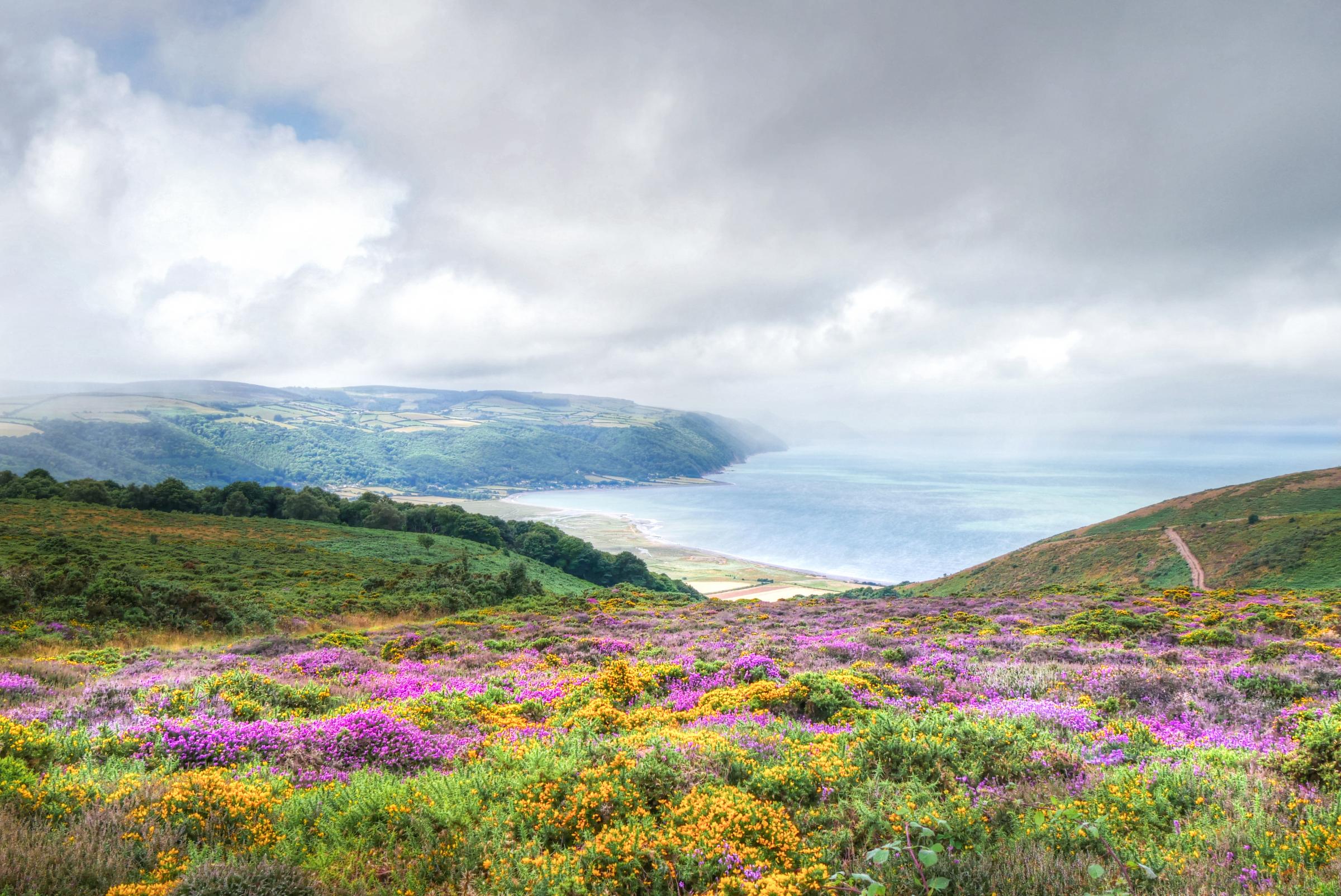 Visiting Exmoor | Coronavirus FAQs | The Best of Exmoor Blog