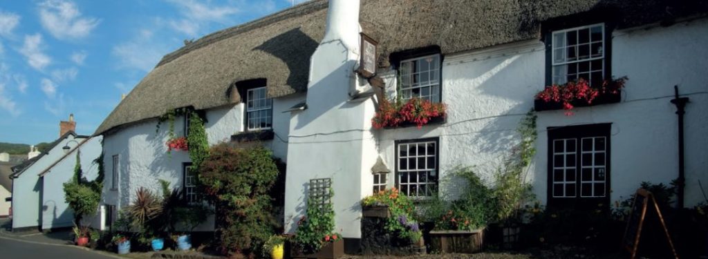 A Dog-Friendly Guide To Exmoor | The Best of Exmoor Blog