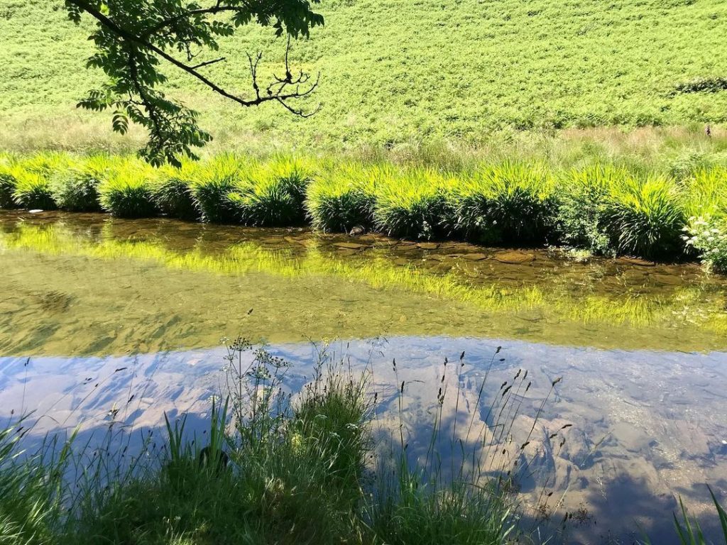 Exmoors Top Wild Swimming Spots | The Best of Exmoor Blog
