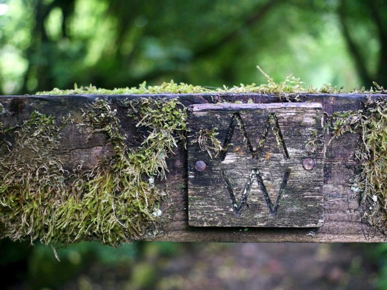 All About The Two Moors Way | Walking on Exmoor