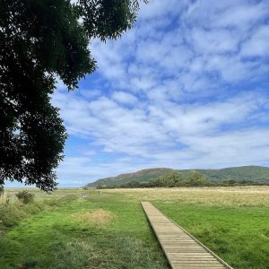 Porlock | A Visitors Guide | Things to do | The Best of Exmoor