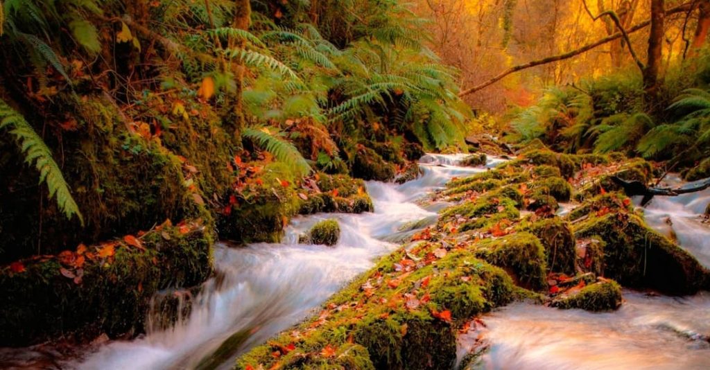 Our Top 8 Beauty Spots on Exmoor | The Best of Exmoor Blog