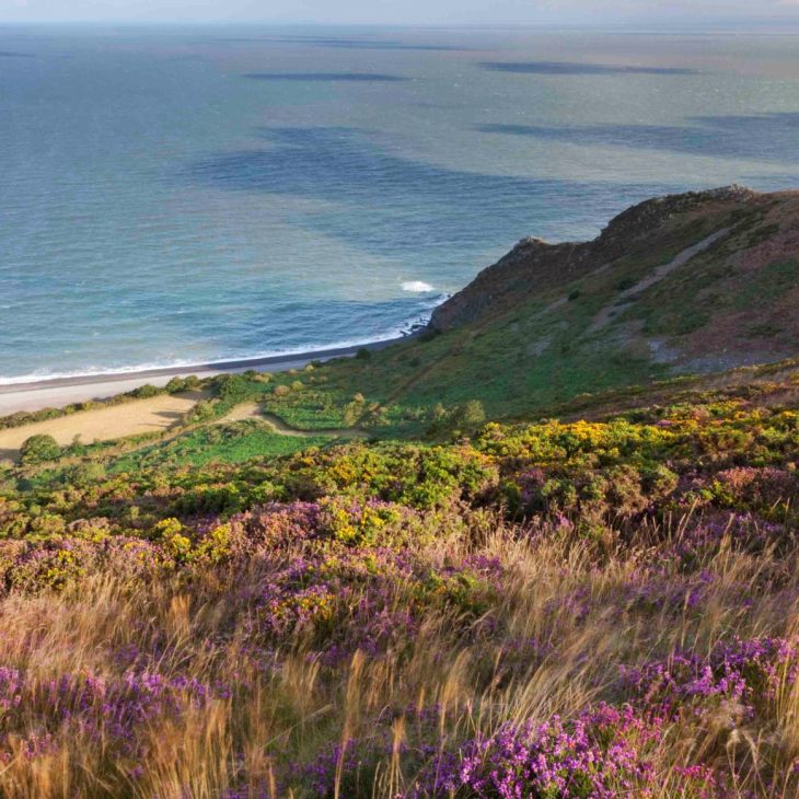 Events & What's On Exmoor | The Best of Exmoor Blog | Holiday Ideas