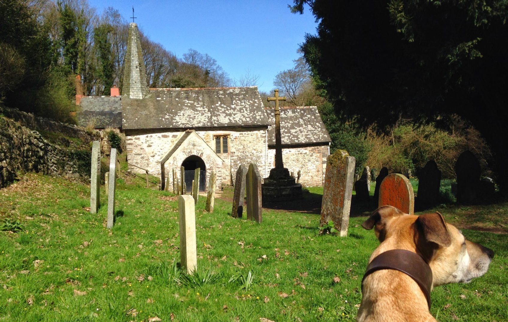 Culbone Church | A Hidden Sanctuary in the Wood | The Best of Exmoor