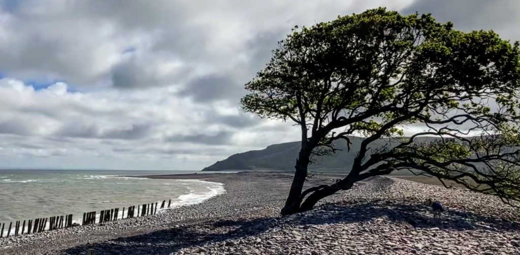 Circular Walk Between Porlock & Porlock Weir | The Best of Exmoor Blog