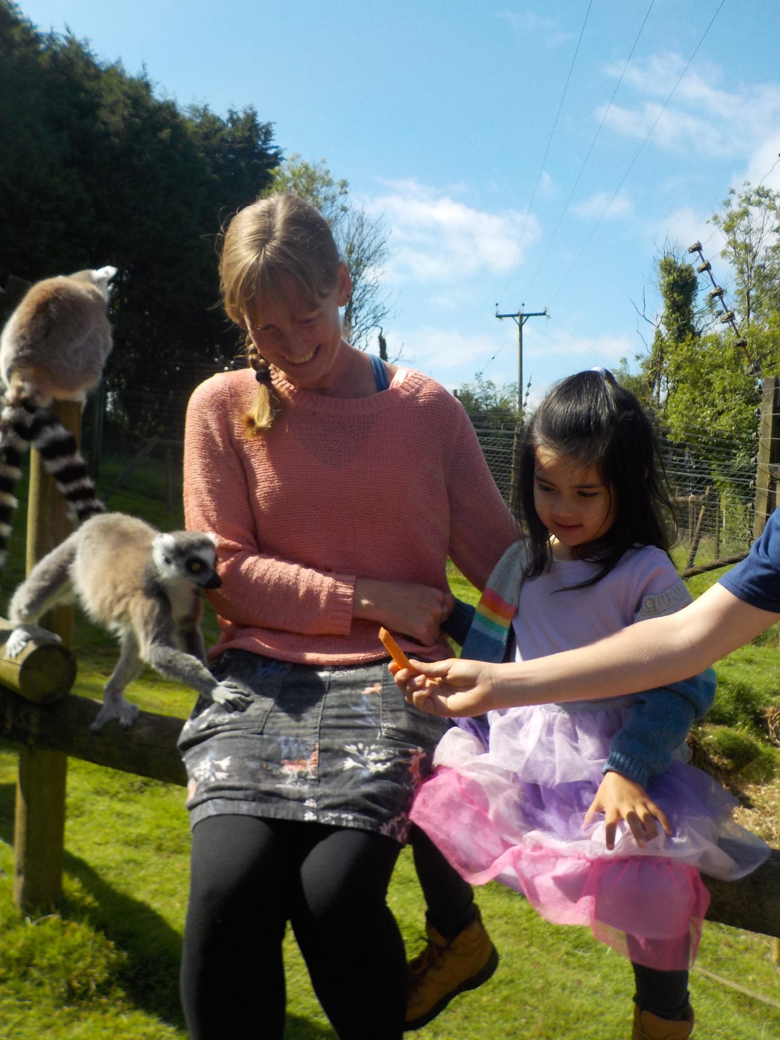 Exmoor Zoo Experience | The Best of Exmoor Blog