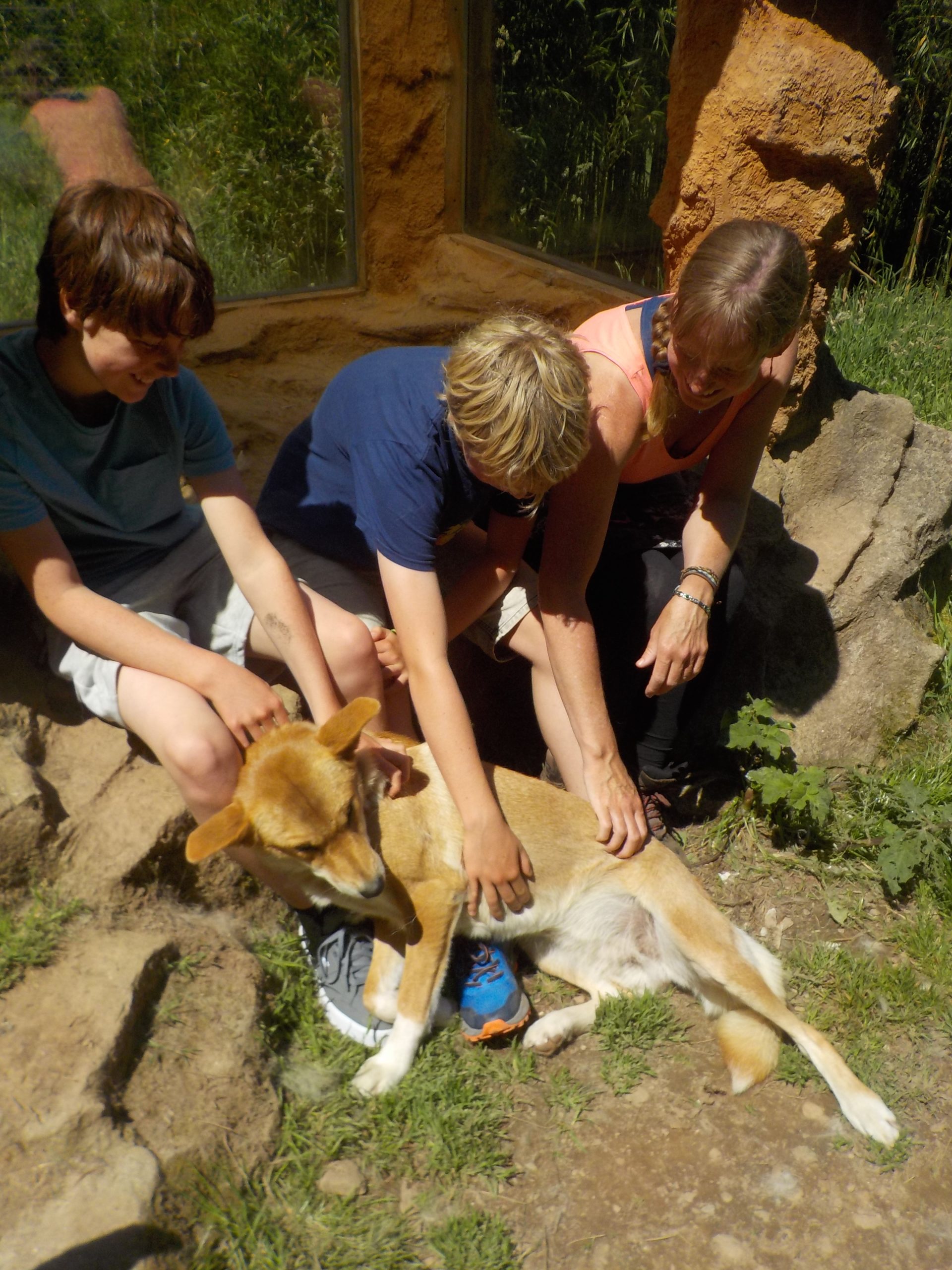Exmoor Zoo Experience | The Best of Exmoor Blog