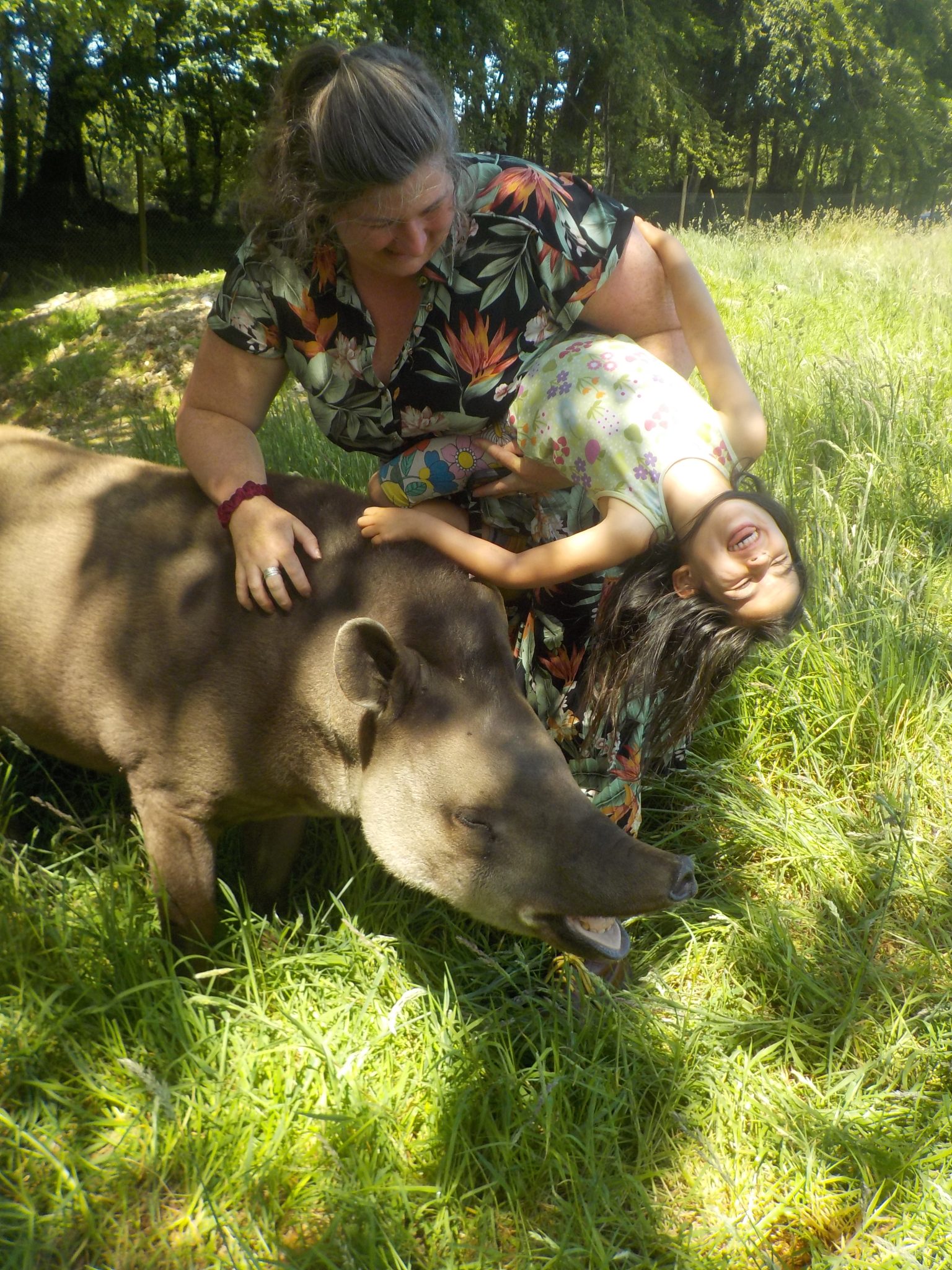 Exmoor Zoo Experience | The Best of Exmoor Blog