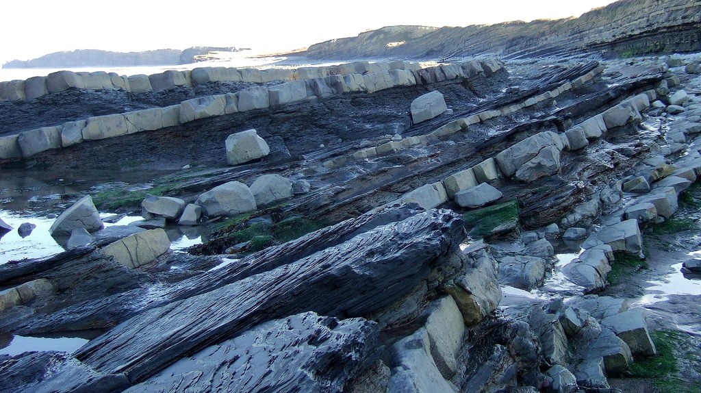 Exploring Fossils on Exmoor | The Best of Exmoor Blog