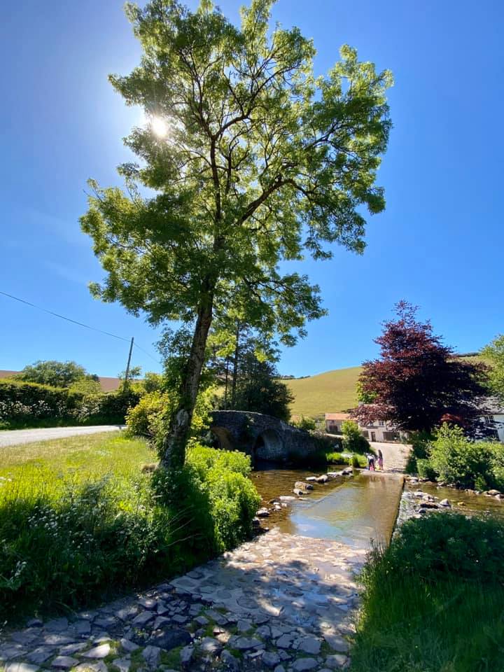 Malmsmead Circular Walk: Map and Route Guide | The Best of Exmoor Blog