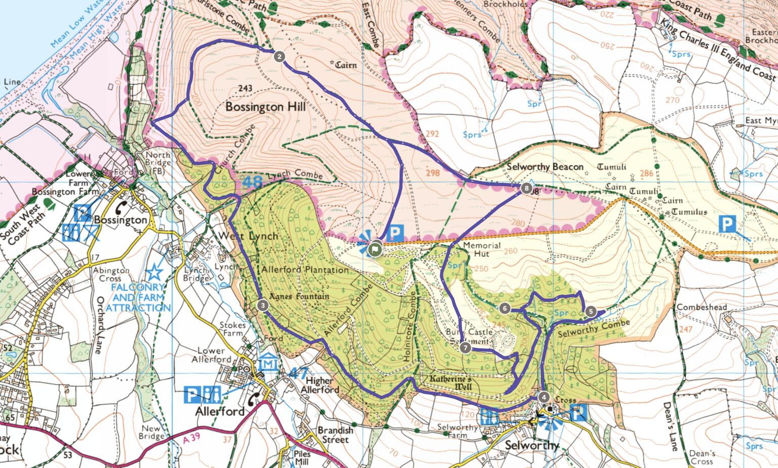 Bossington Hill Circular Walk | Selworthy Beacon | Exmoor
