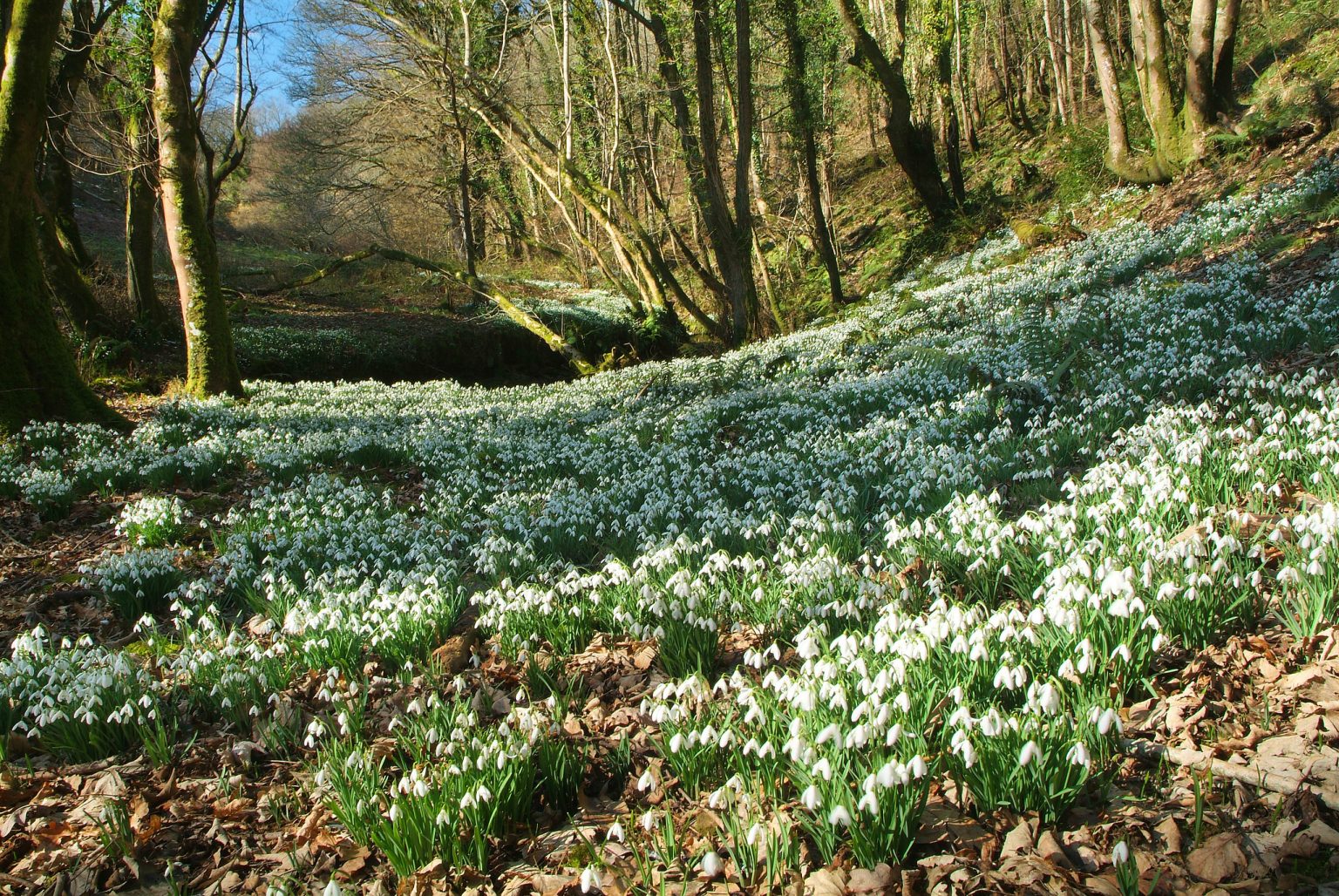 February Half-Term on Exmoor 2026